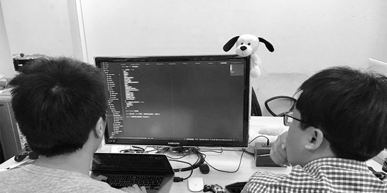 What Is Pair Programming? Types, Pros, and Cons - Designveloper