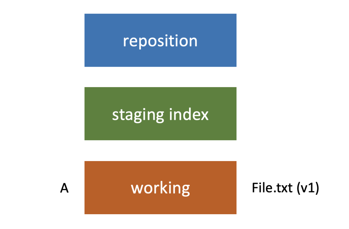 What Are Git Concepts and Architecture? - Designveloper