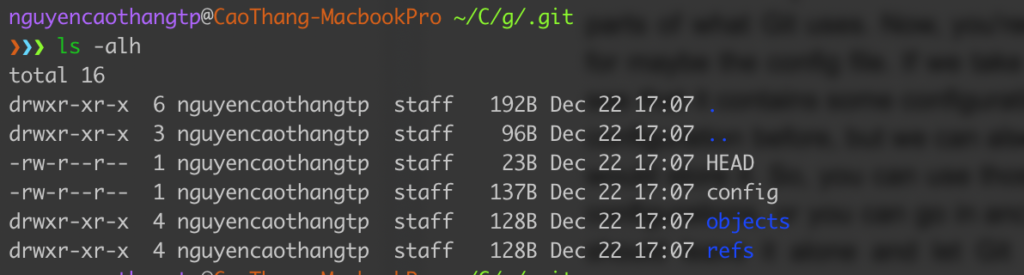 What Is Git and How Does Git Track Our Project Files? - Designveloper