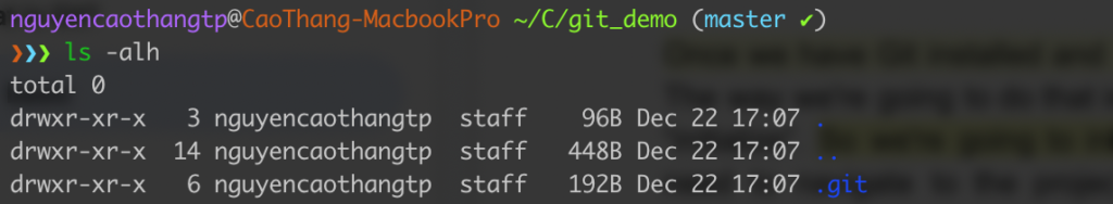 What Is Git and How Does Git Track Our Project Files? - Designveloper