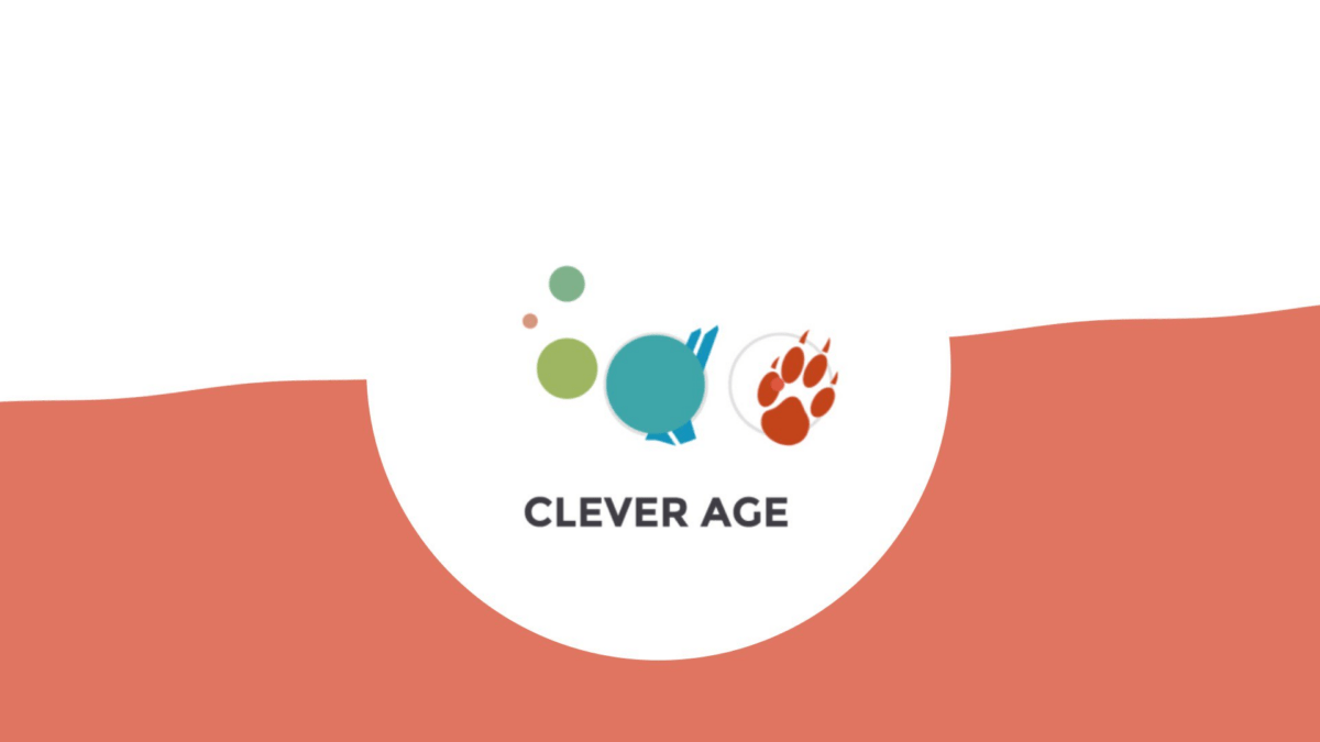 Top 10 Web Development Companies in France - Designveloper