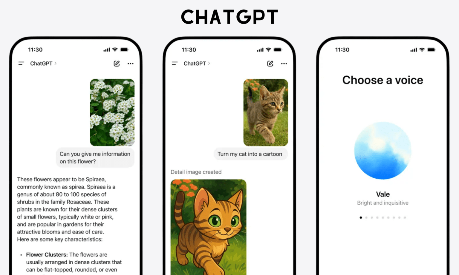 31 Most Helpful Apps for Work, Study, and Personal Life - Designveloper