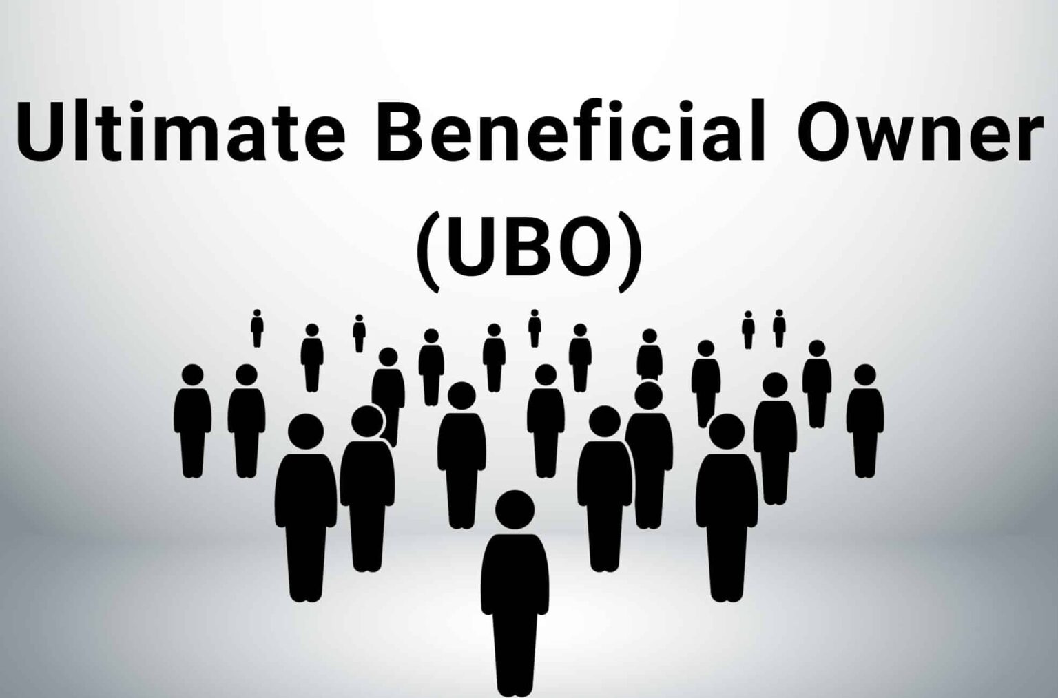 Unmasking the Shadows: A Founder's Guide to Ultimate Beneficial Owner ...